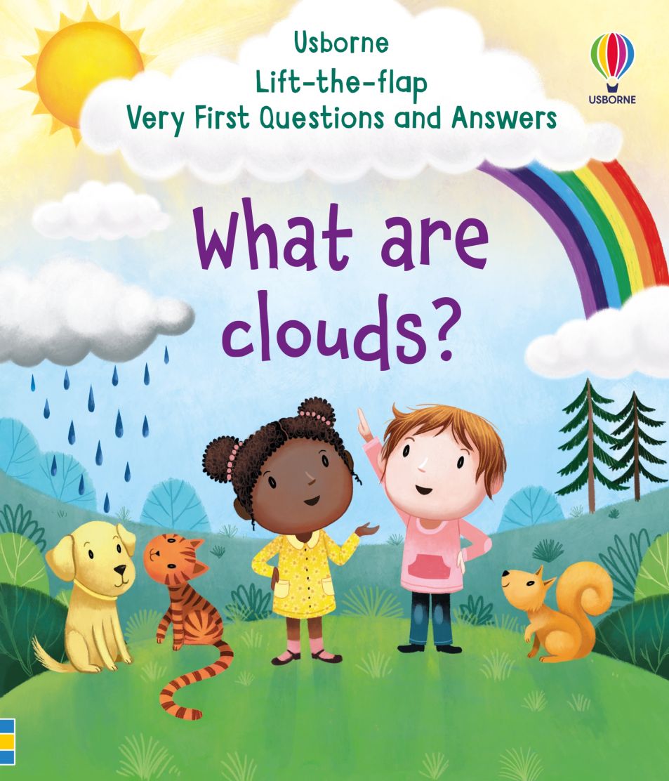 Usborne Lift the flap series very first questions and answers book ...