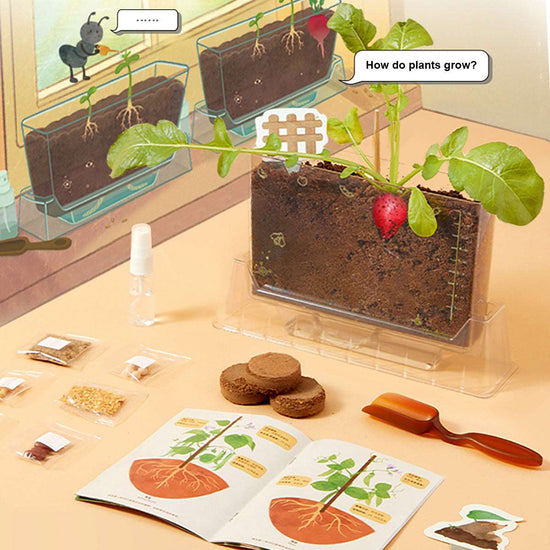 Plant Observation Kit. Montessori STEM Science Educational – Happi Bebe