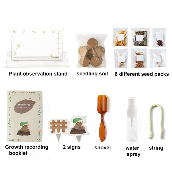 Plant Observation Kit. Montessori STEM Science Educational – Happi Bebe